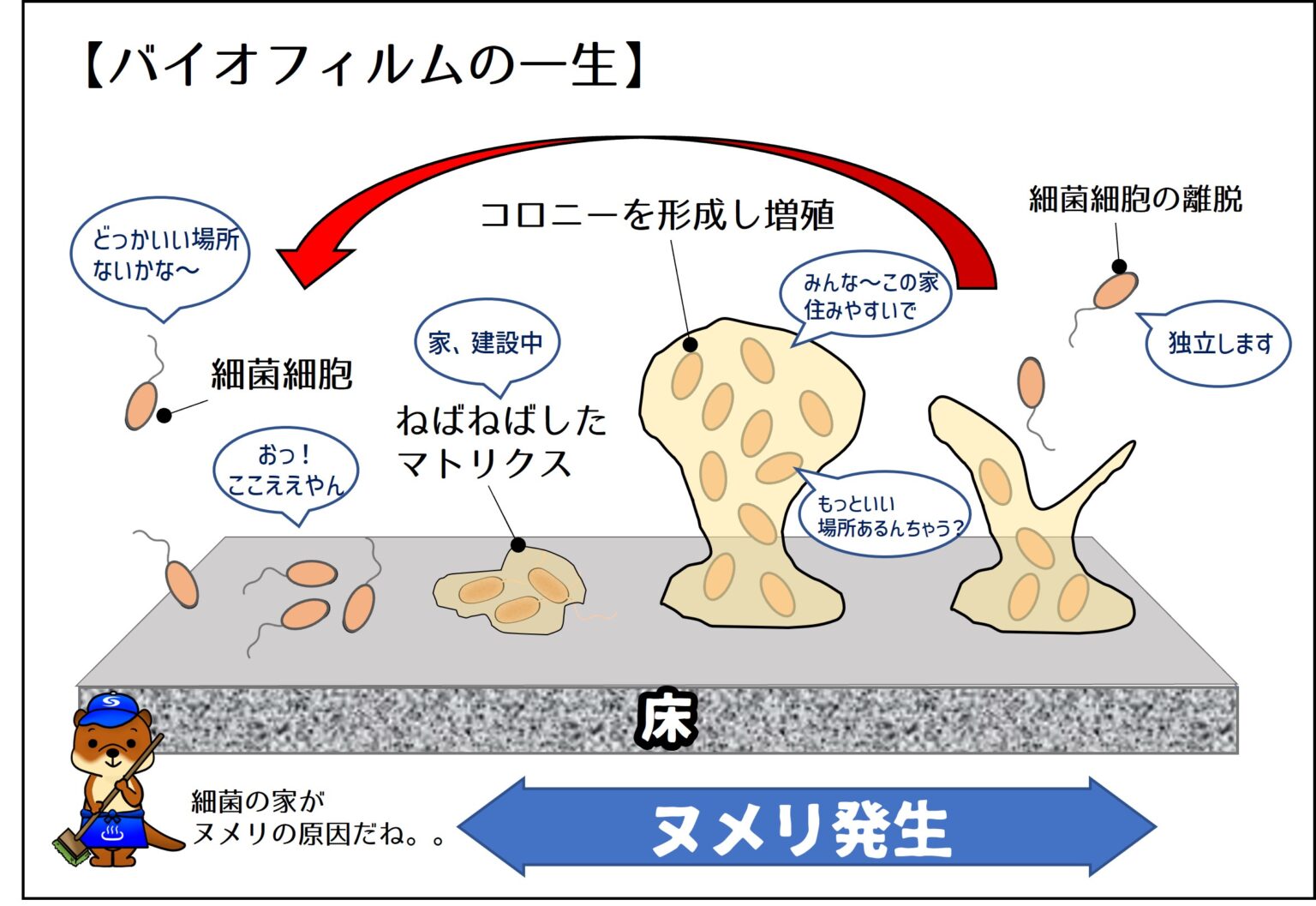 浴室の床のヌメリをなんとかしたい!原因と対策を解説! 温浴施設専門の特殊清掃|関西のspaクリーン